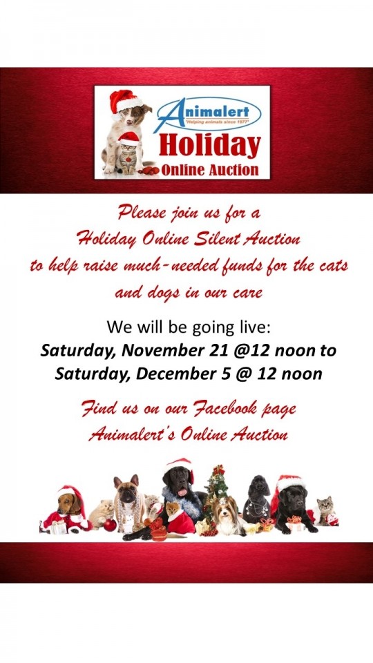 Animalert Pet Adoptions | Helping Animals Since 1977 - Animalert
